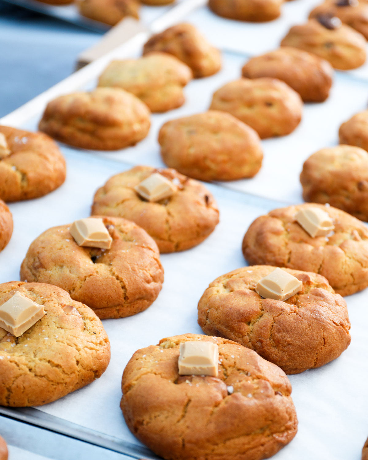 Sunday Morning Milk – THE MILKMAN'S COOKIES